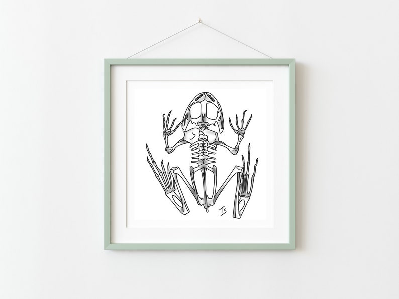 Frog Skeleton Drawing Digital Download - Froggy Drawing, Procreate ...