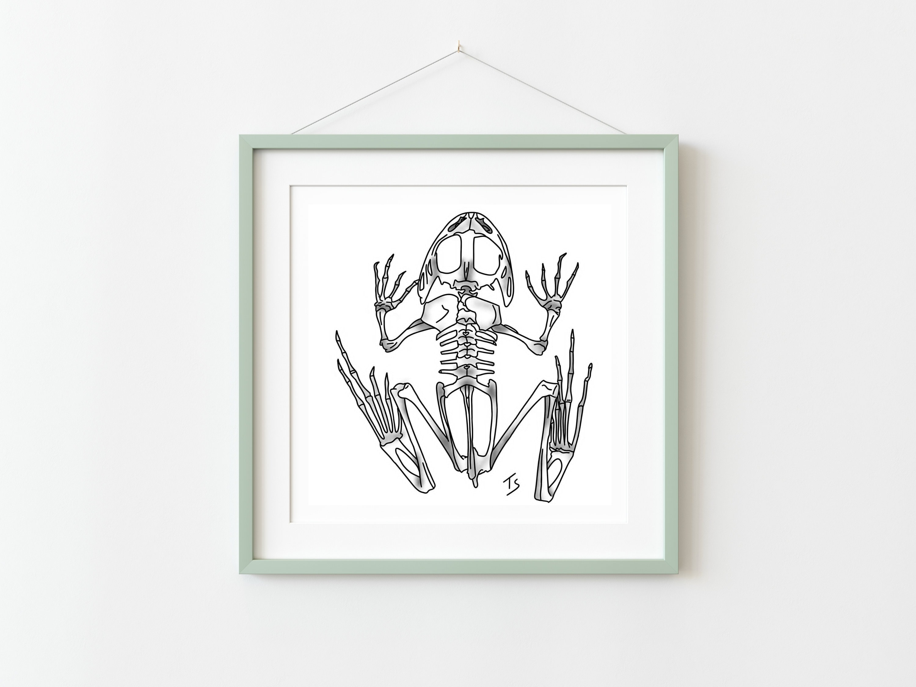 Frog Skeleton Drawing Digital Download - Froggy Drawing, Procreate Print From Home, for Frog ...