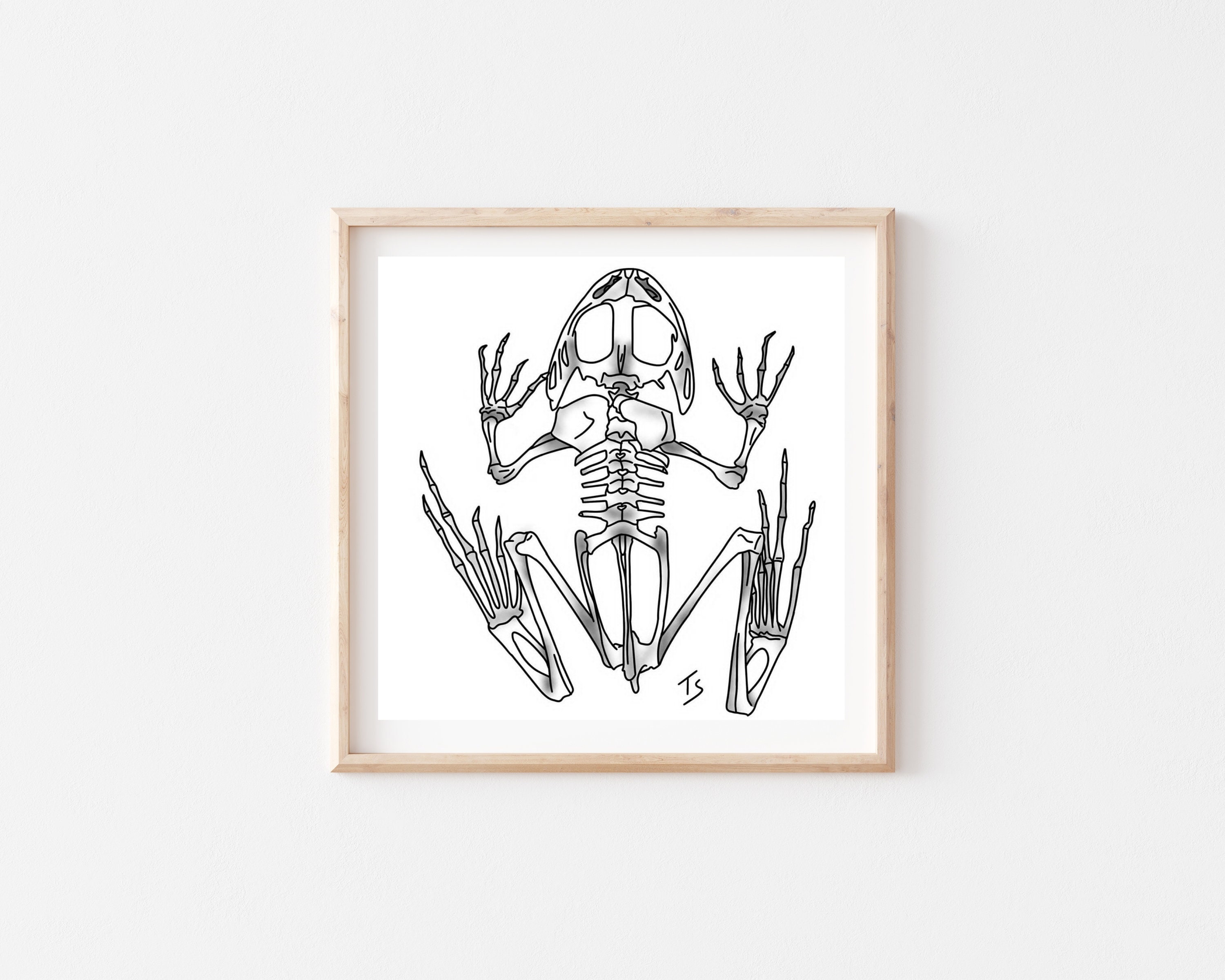 Frog Skeleton Drawing Digital Download - Froggy Drawing, Procreate ...