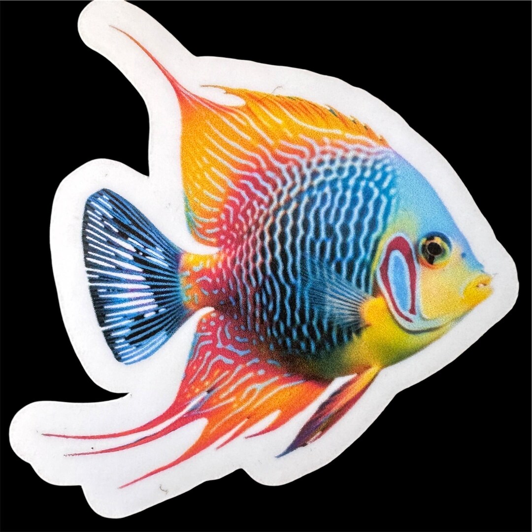 Angelfish Sticker – Vinyl Decal, Ocean Fish Sticker for Laptop, Water ...