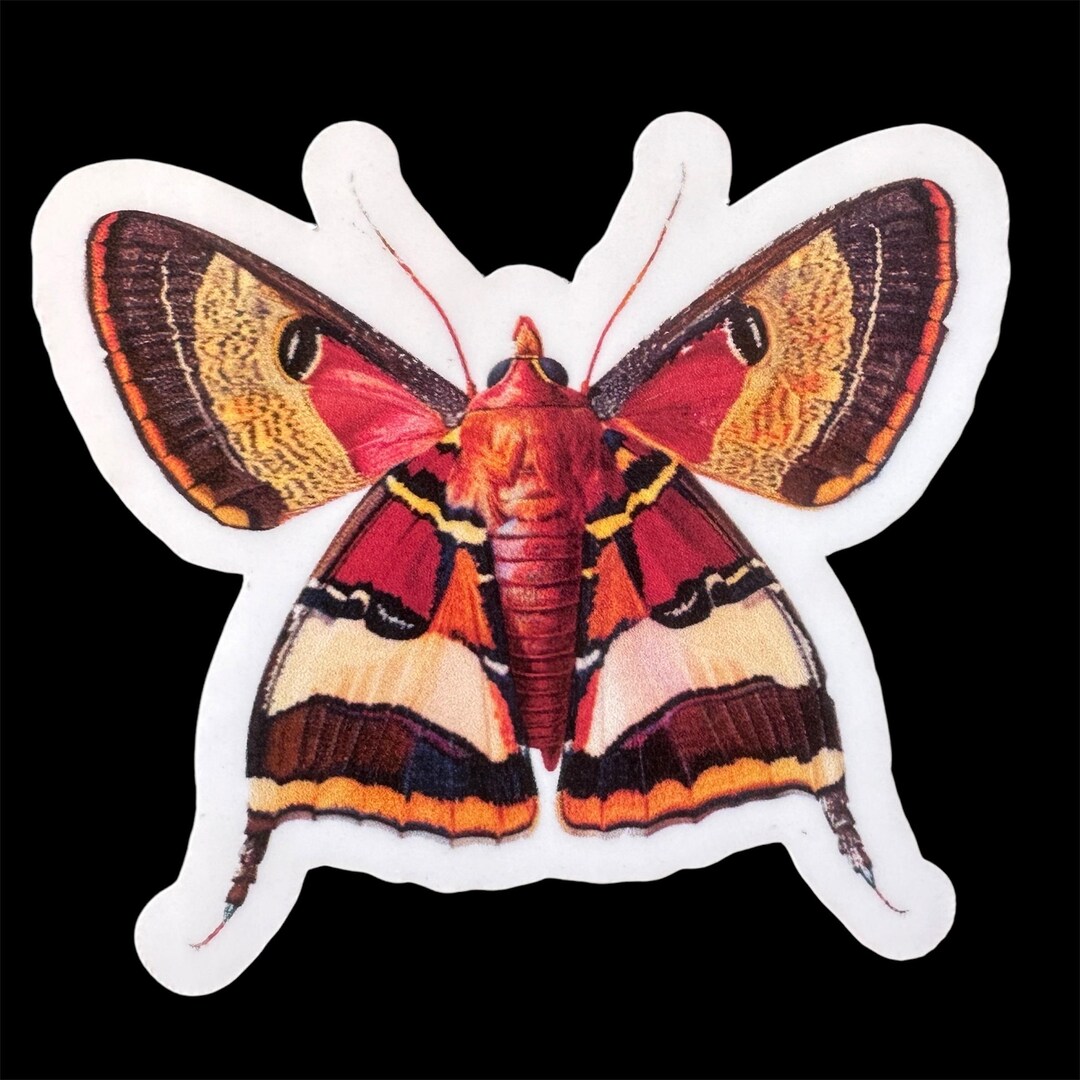Garden Moth – Vinyl Die-cut Sticker – Weatherproof Laptop Water Bottle ...