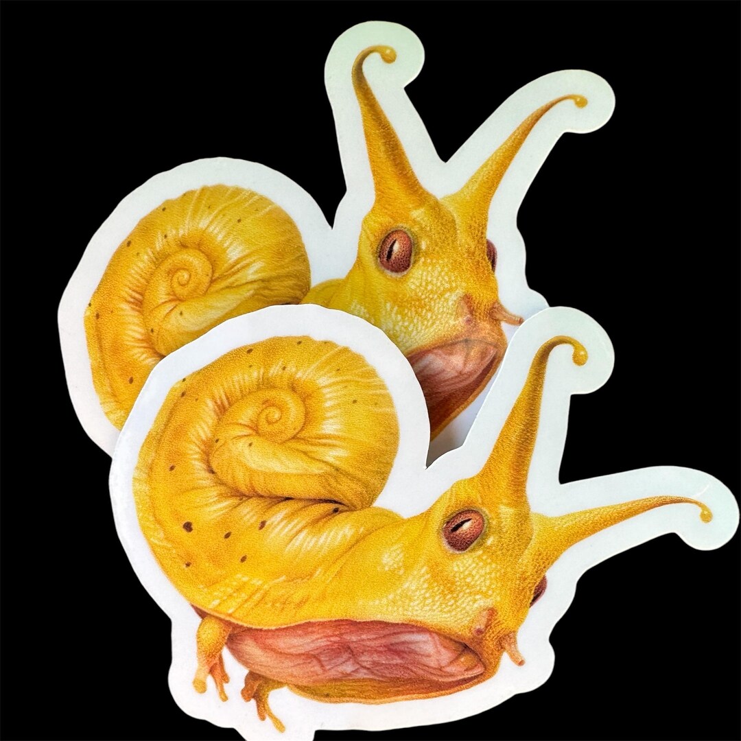 Banana Slug Sticker: Funny Animal Decal for Laptop, Water Bottle - Etsy
