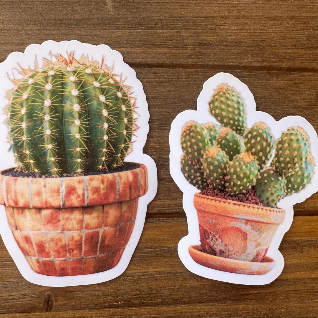 Cactus Sticker Adorable Design for Plant Lovers, Perfect for Laptops ...