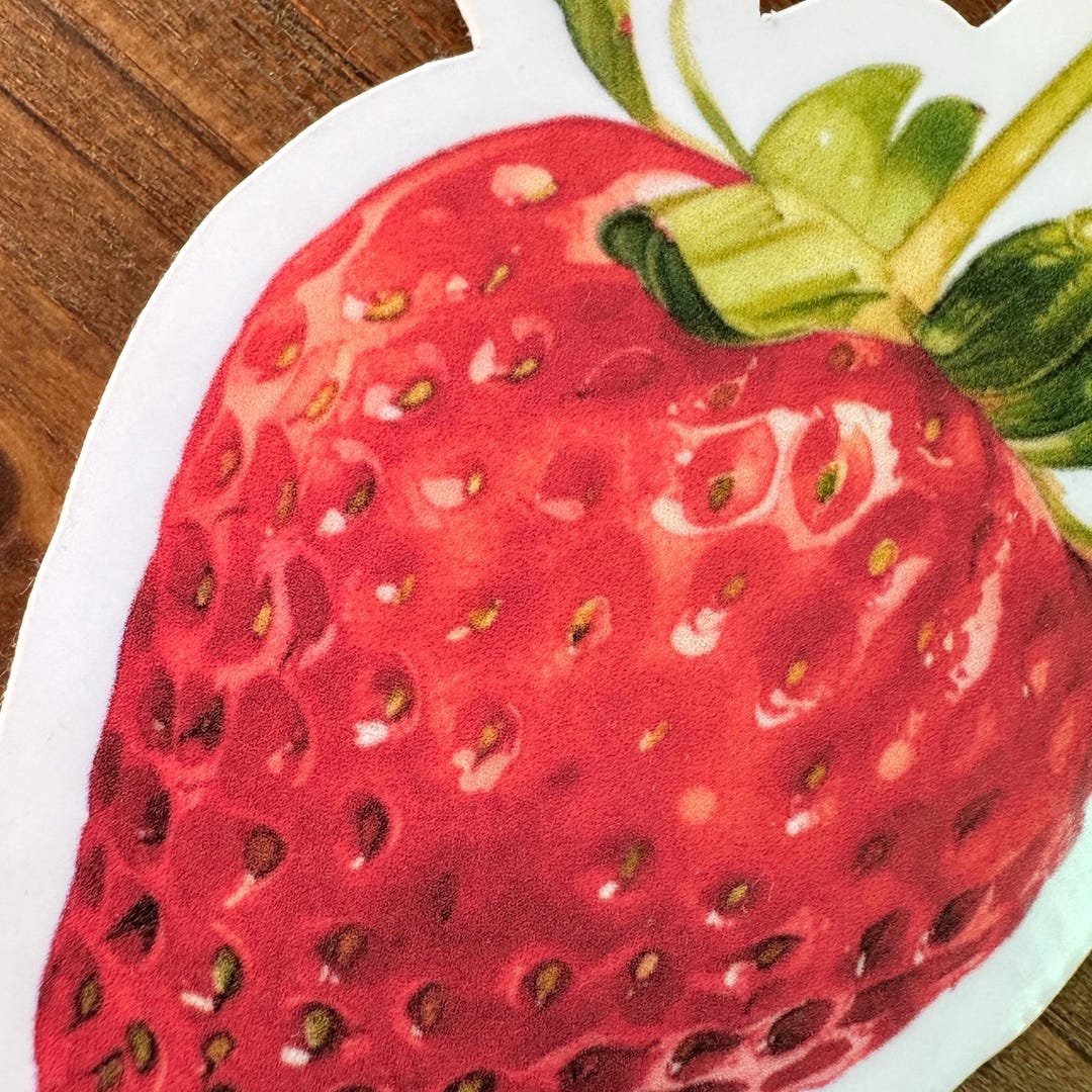 Strawberry Stickers Berry Stickers Fruit Stickers Food Stickers Summer ...