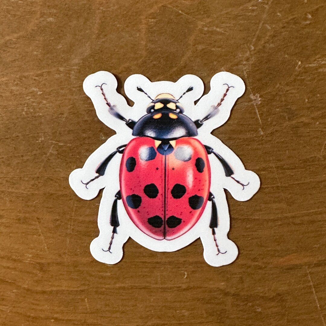 Ladybug Sticker Ladybug Insect Sticker - Etsy