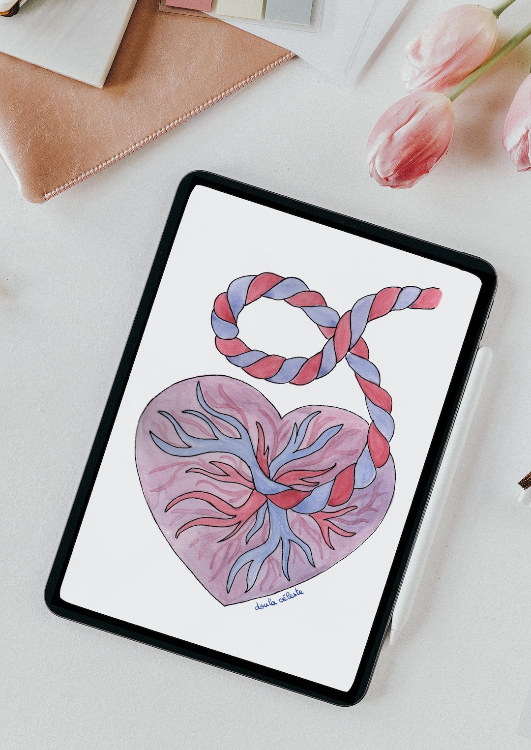 Digital Illustration Placenta Heart - Etsy