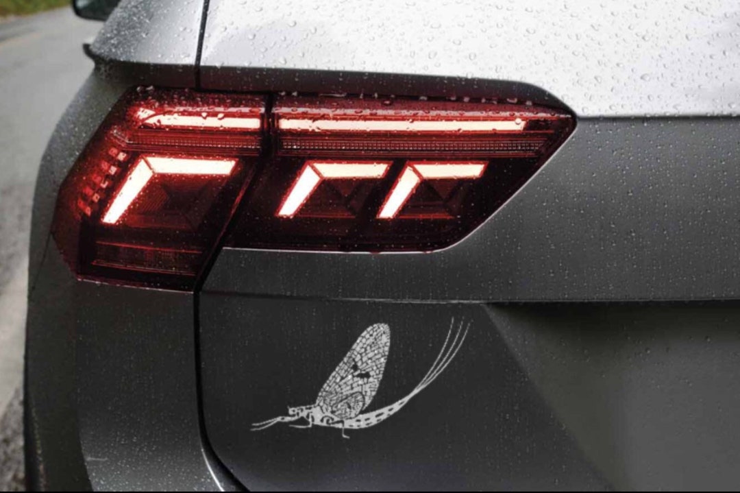 Mayfly Car Sticker - Etsy