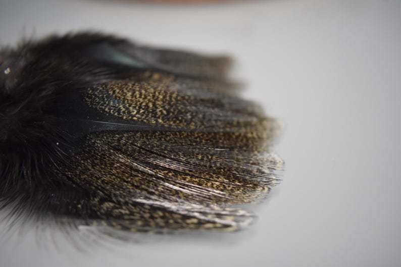 Authentic Coq De Leon Feathers (12 Units Pack) - Etsy