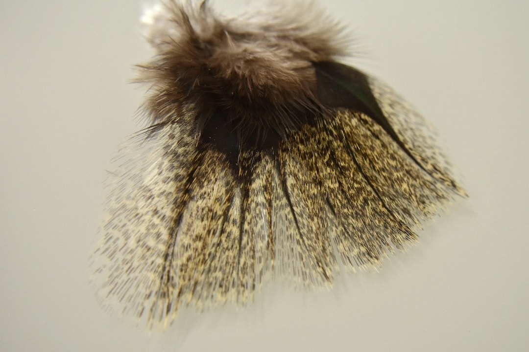 Authentic Coq De Leon Feathers (12 Units Pack) - Etsy