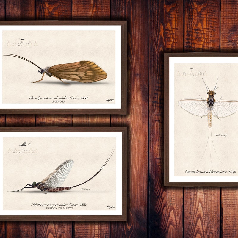 Fly Fishing Art - Etsy Canada