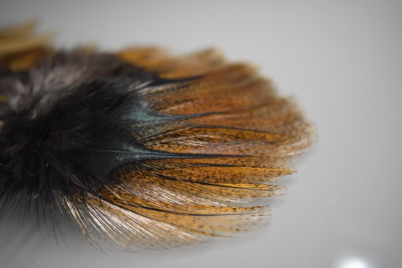 Authentic Coq De Leon Feathers (12 Units Pack) - Etsy