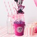 Custom Labels/ Minnie Mouse Custom Labels/ Personalized Labels - Etsy