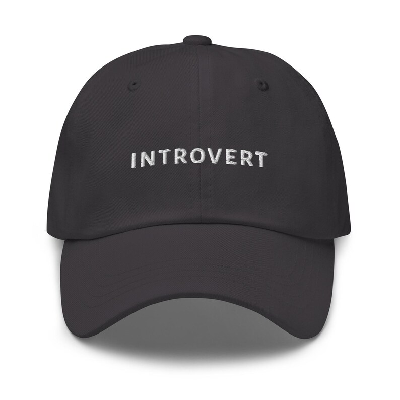 Introvert Embroidered Hat | Funny Social Battery Cap | Minimalist ...