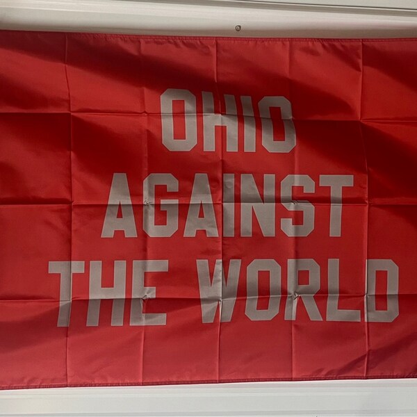 Ohio Against World Flag - Etsy