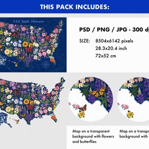 USA State Flowers / Educational Wall Art / State’s Flower / All 50 ...