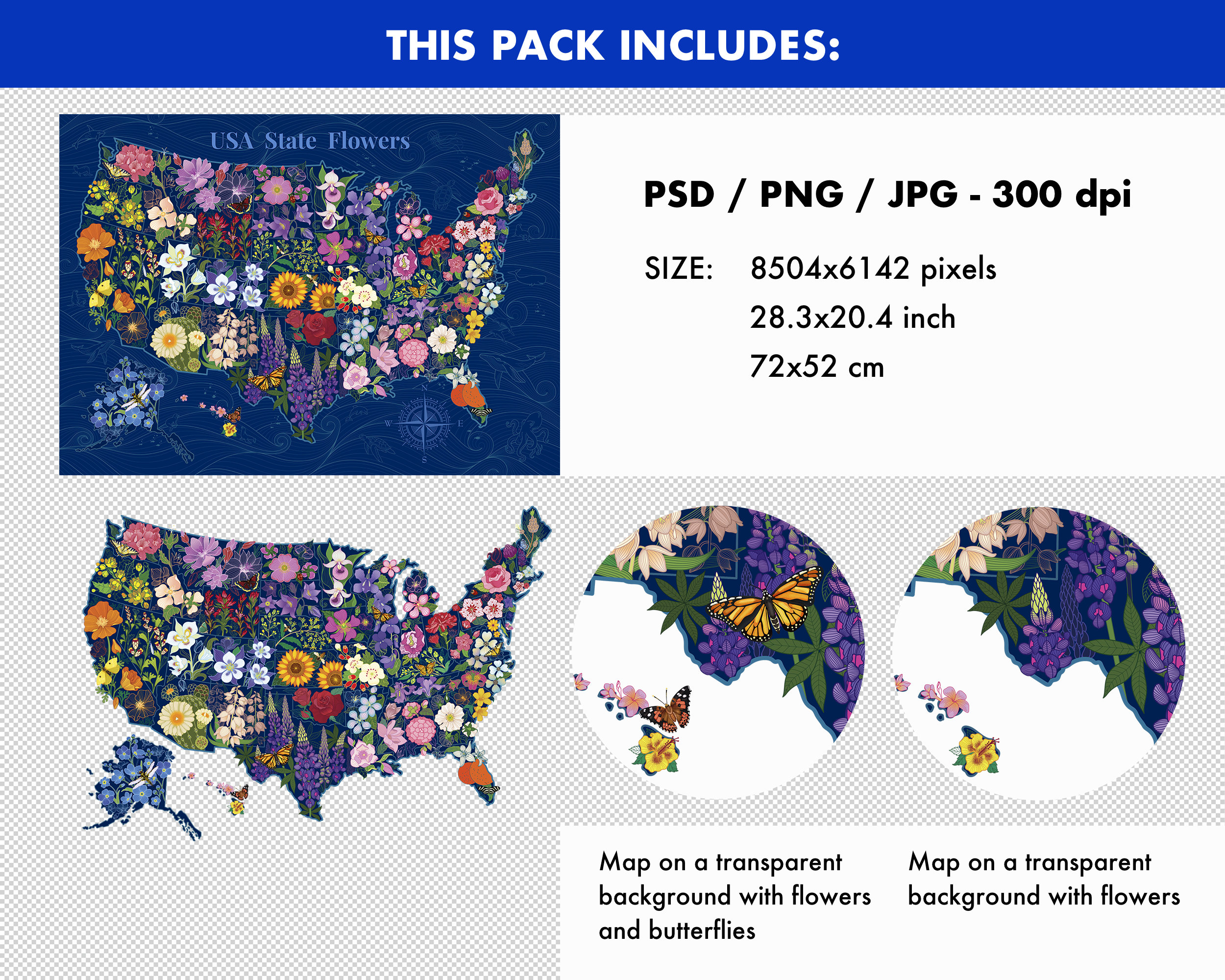 USA State Flowers / Educational Wall Art / States Flower / All 50 ...