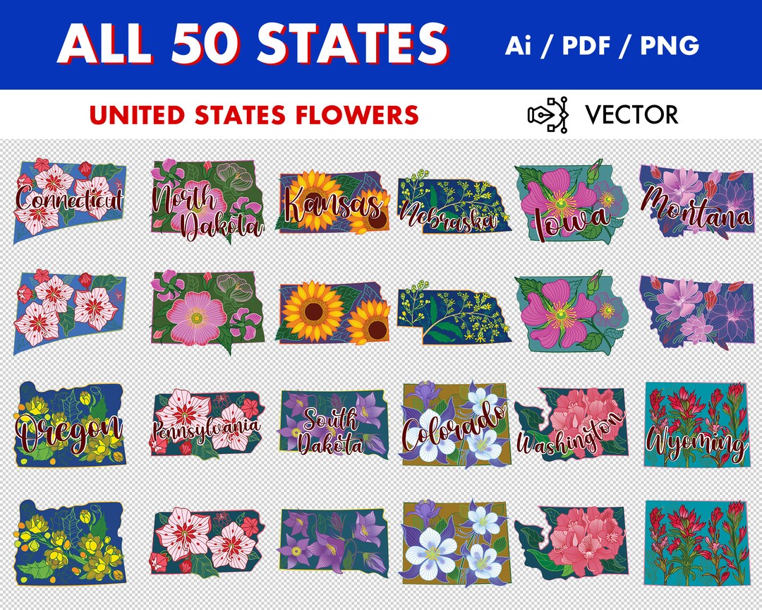 50 States Png / State’s Flower / All 50 States Vector / States Clip Art ...