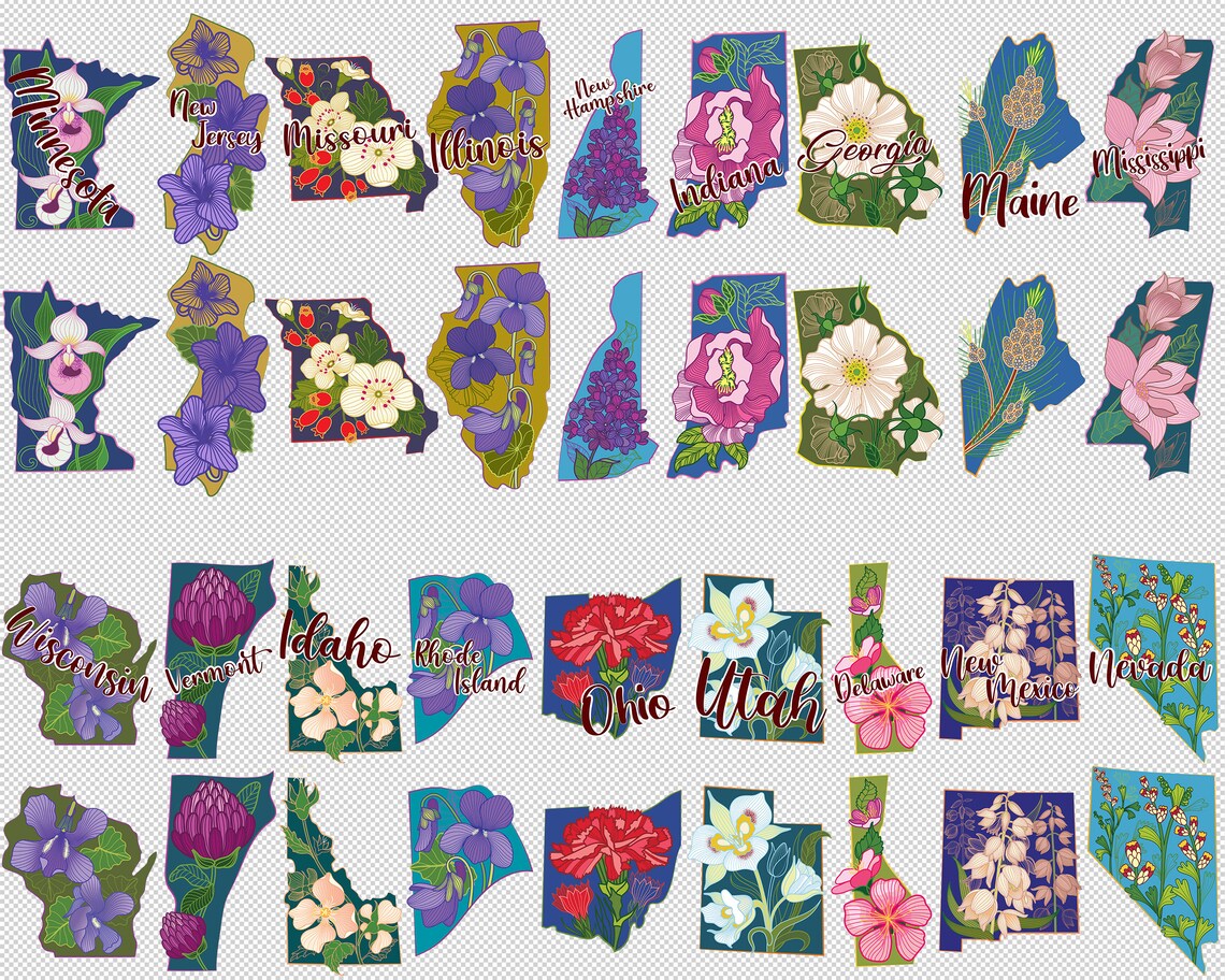 50 States Png / States Flower / All 50 States Vector / States Clip Art ...