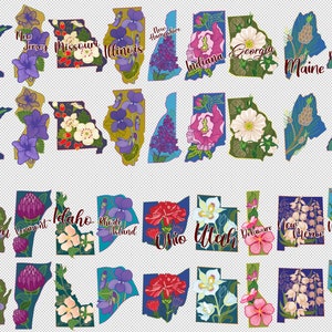 50 States Flower Vector Clipart, USA Floral State Designs (PNG, PDF, Ai ...
