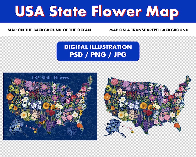 USA State Flowers / Educational Wall Art / States Flower / All 50 ...