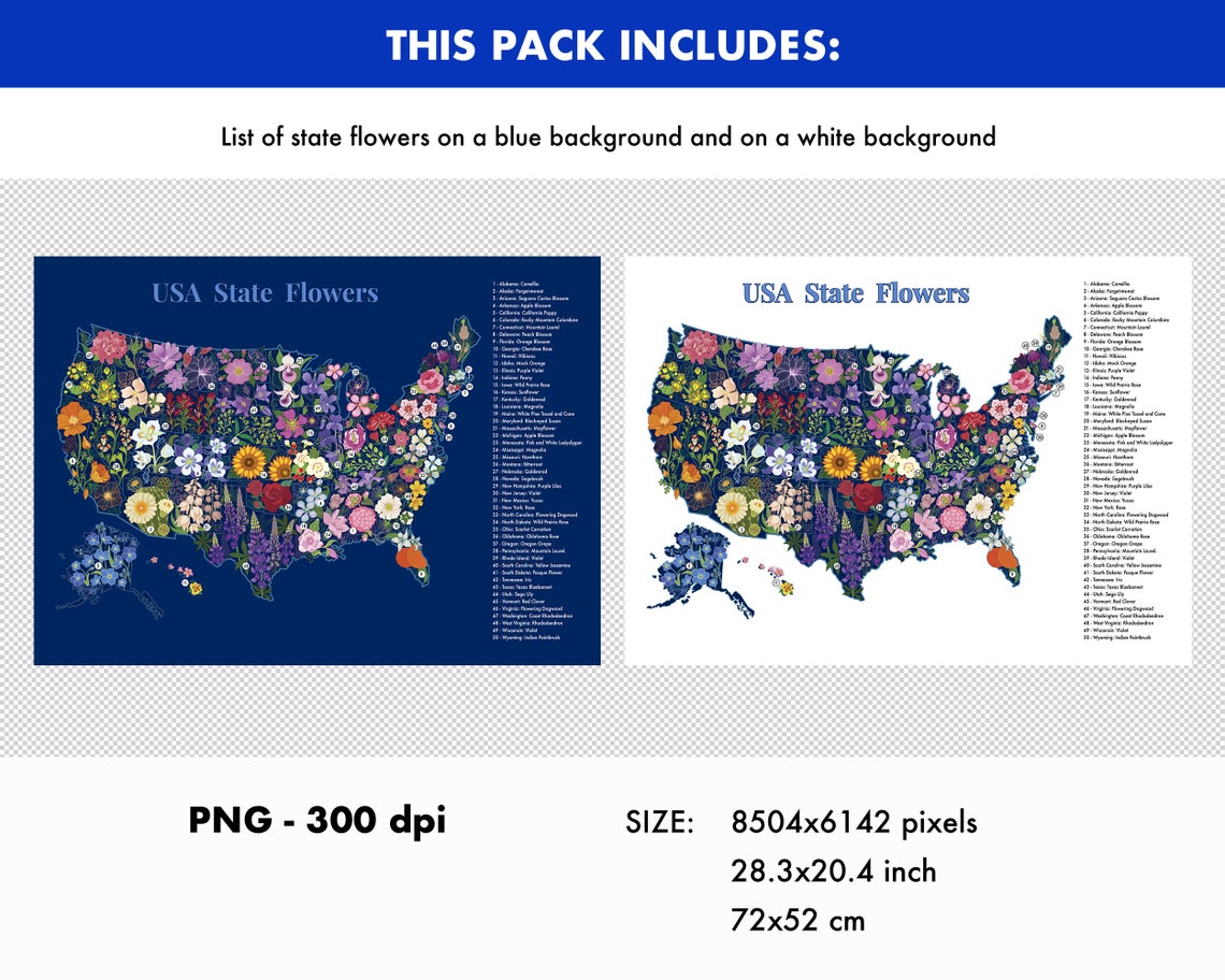 USA State Flowers / Educational Wall Art / States Flower / All 50 ...