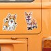 Corgi Clipart PNG, Corgi Sticker Pack, Corgi Lovers, Bundle 15 Images ...