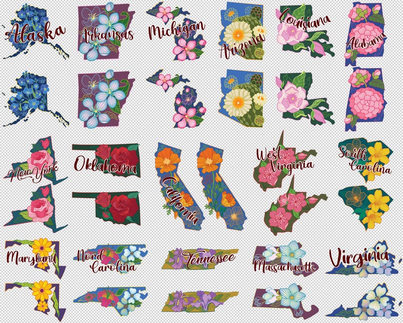 50 States Flower Vector Clipart, USA Floral State Designs (PNG, PDF, Ai ...