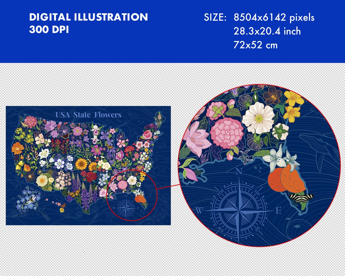 USA State Flowers / Educational Wall Art / States Flower / All 50 ...