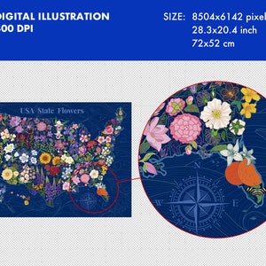 USA State Flowers / Educational Wall Art / State’s Flower / All 50 ...