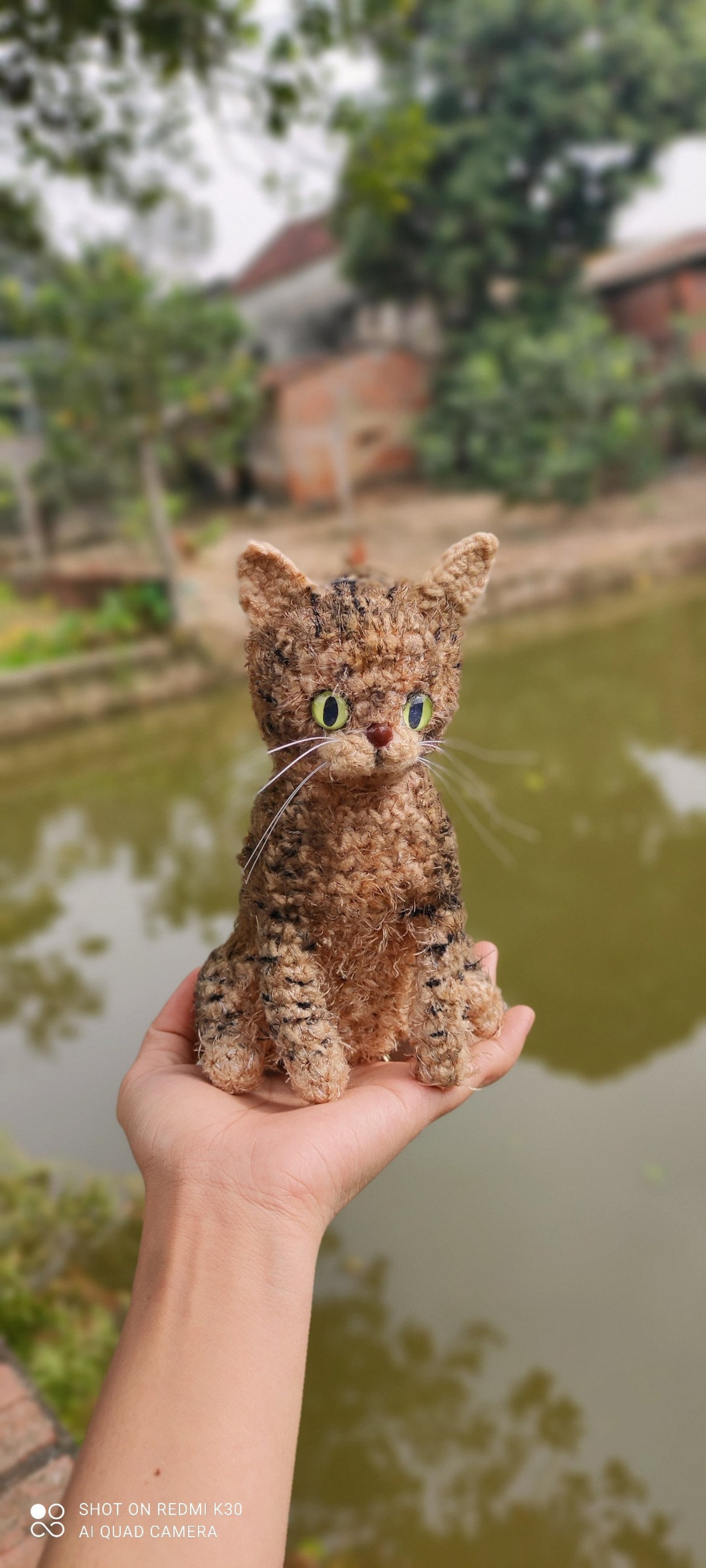 Custom Crochet Cat Custom Cat Plush Custom Stuffed Animal - Etsy