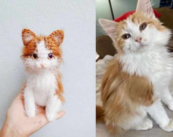 Cat Lady Starter Kit - Etsy