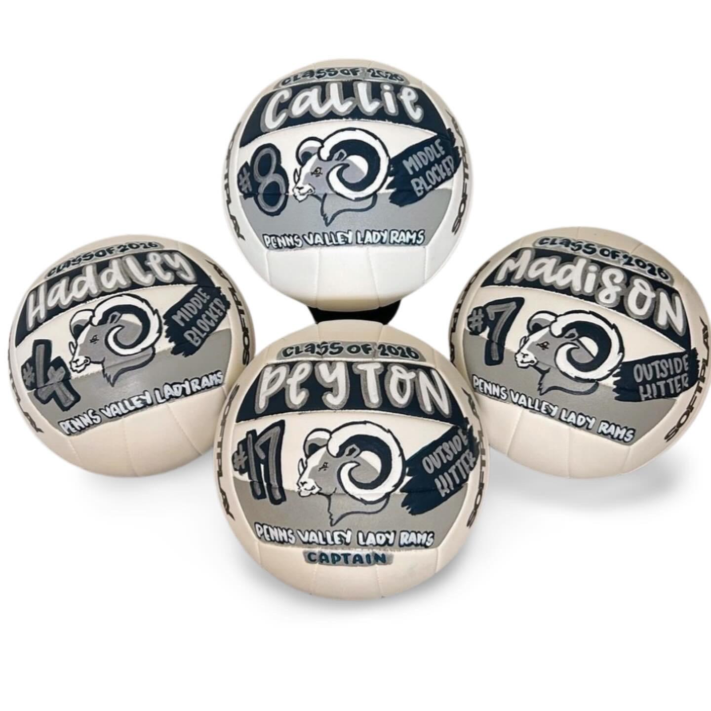 Custom Hand-painted Volleyball - Etsy