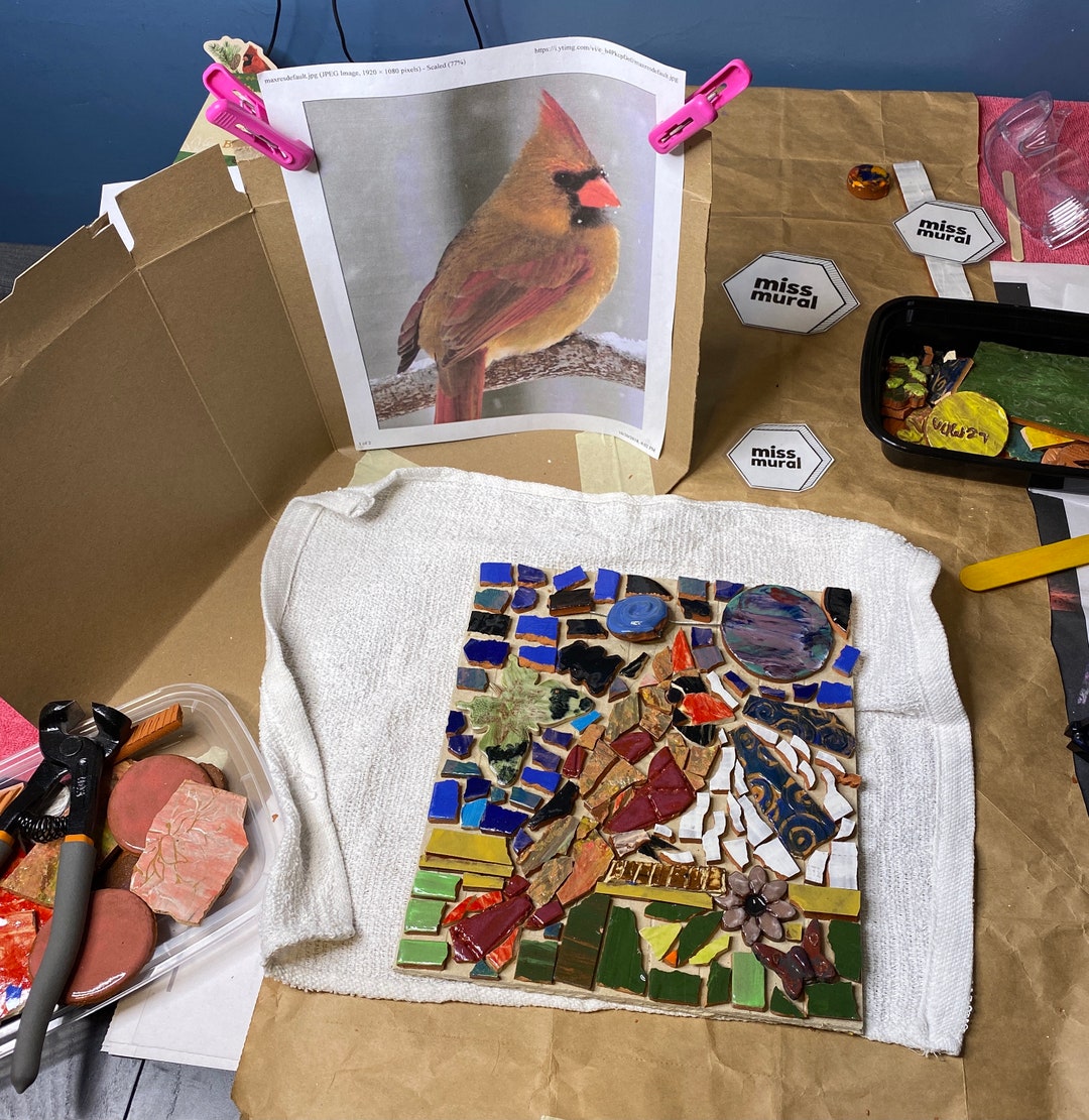 Deluxe Mosaic Kit for Beginners, Best Value Family Crafts, Tile Art DIY ...