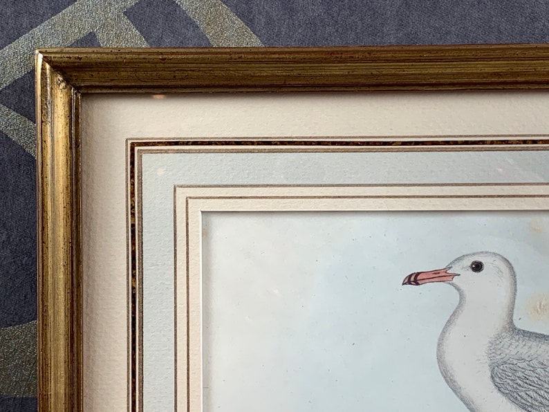 Antique Etching in a Gold-coloured Frame in Perfect Condition - Etsy