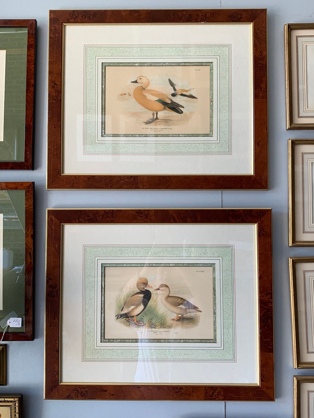 Set of 2 Large Beautiful Paintings 54 X 45 Cm Colored Lithograph of ...