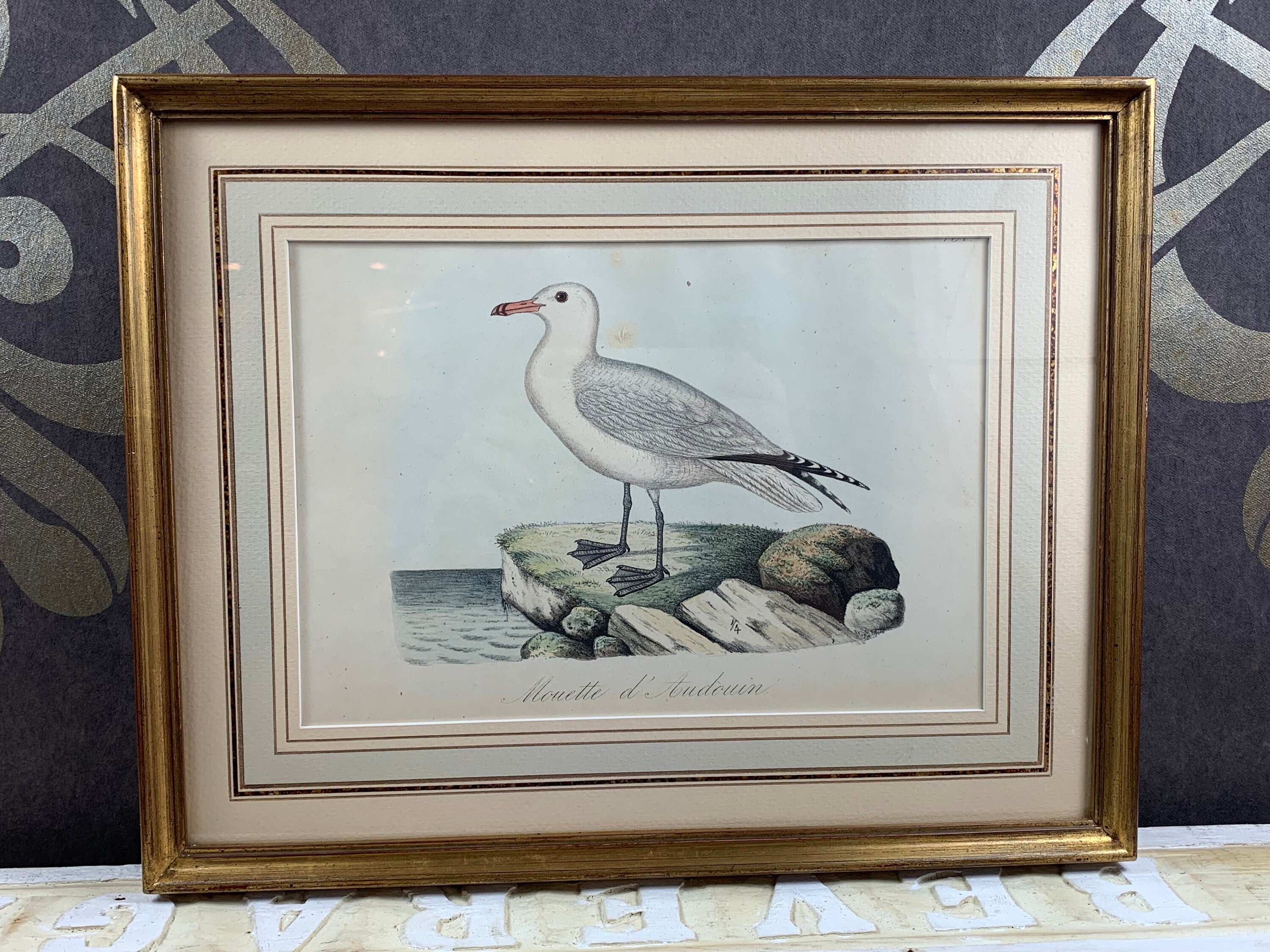 Antique Etching in a Gold-coloured Frame in Perfect Condition - Etsy