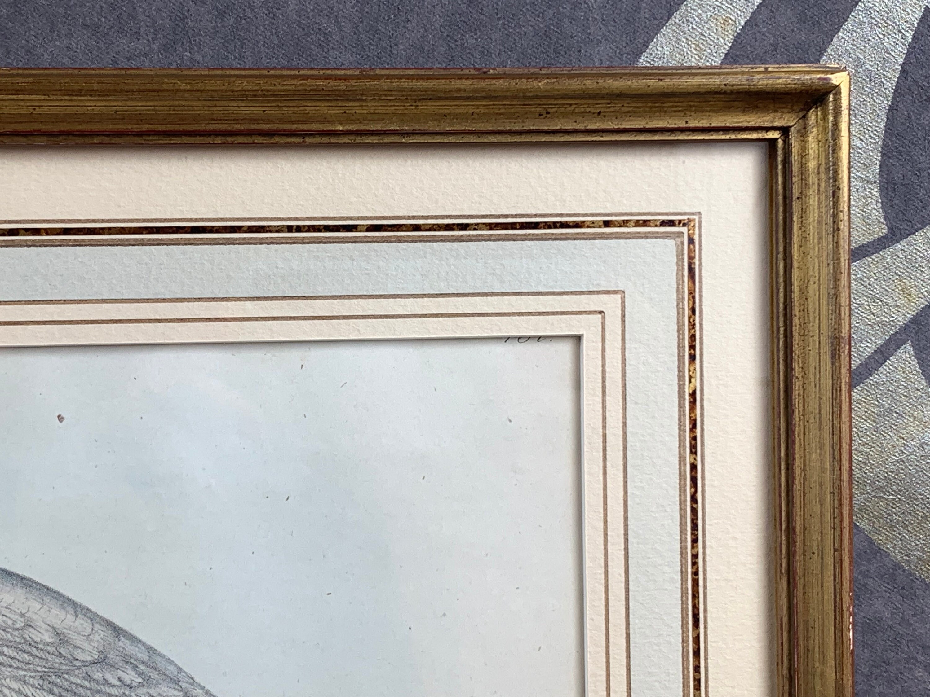 Antique Etching in a Gold-coloured Frame in Perfect Condition - Etsy