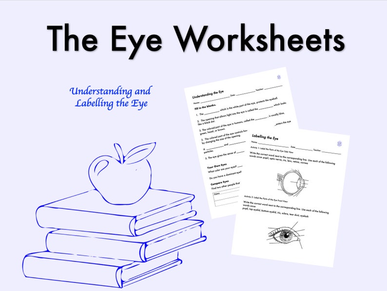 Understanding and Labelling the Eye Printable Worksheet Bundle - Etsy