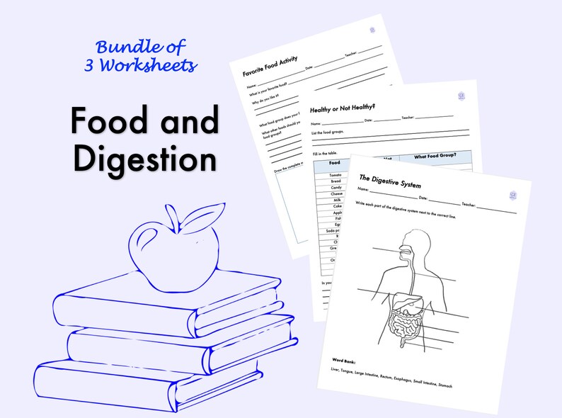 Food and Digestion Worksheet Bundle Printable Exercises - Etsy