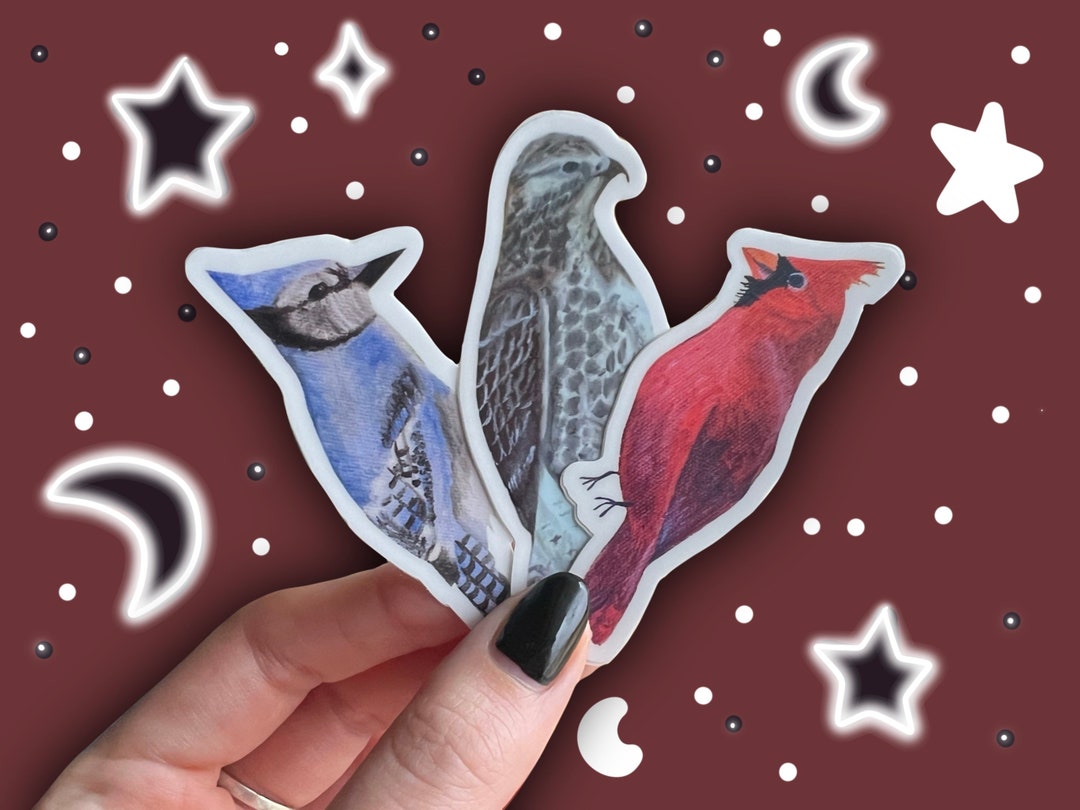 Midwestern Bird Vinyl Stickers - Blue Jay, Cardinal, Hawk - Etsy