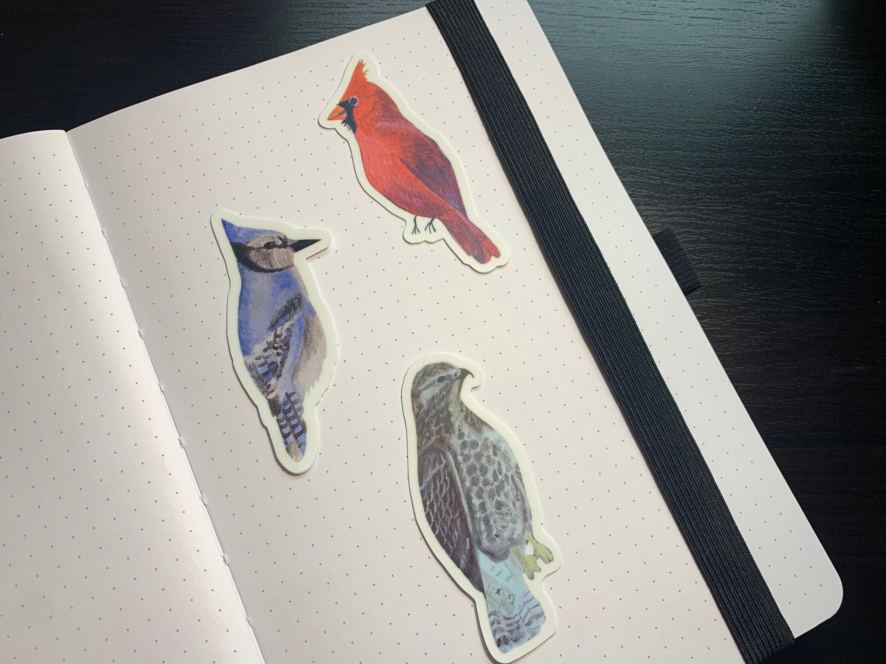 Midwestern Bird Vinyl Stickers Blue Jay Cardinal Hawk | Etsy