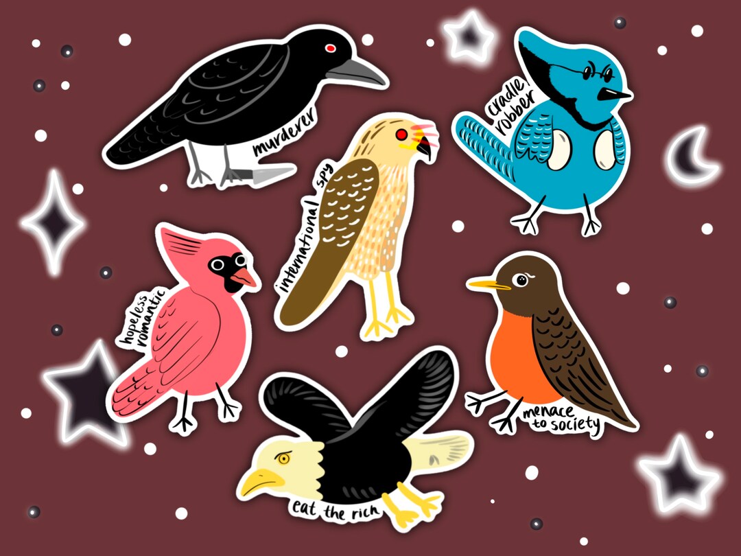 Bird Meme Stickers | Funny, Water Bottle, Laptop, Birds Aren't Real ...