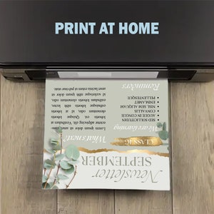 Meet the Teacher Eucalyptus and Gold Template Printable With Newsletter ...