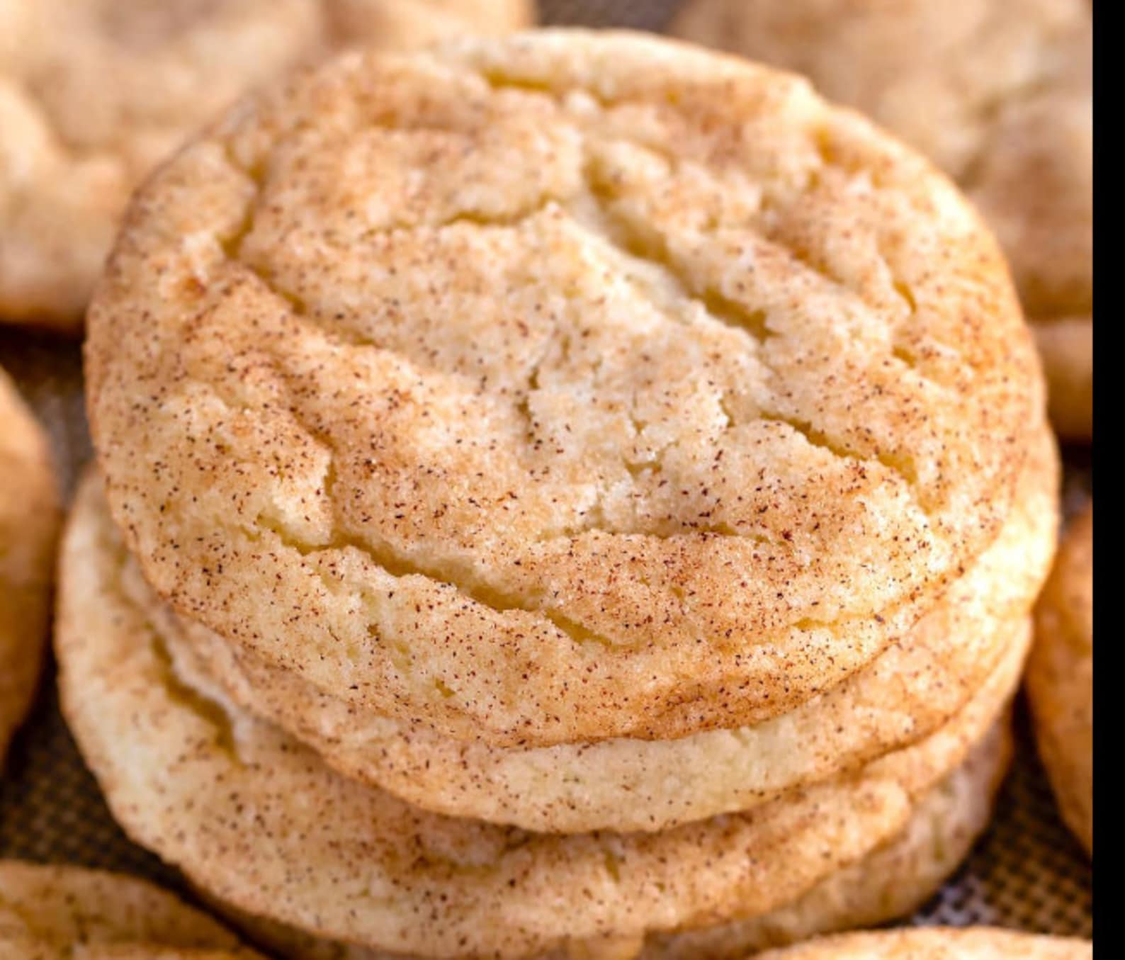 Large Snickerdoodle Cookies - Etsy