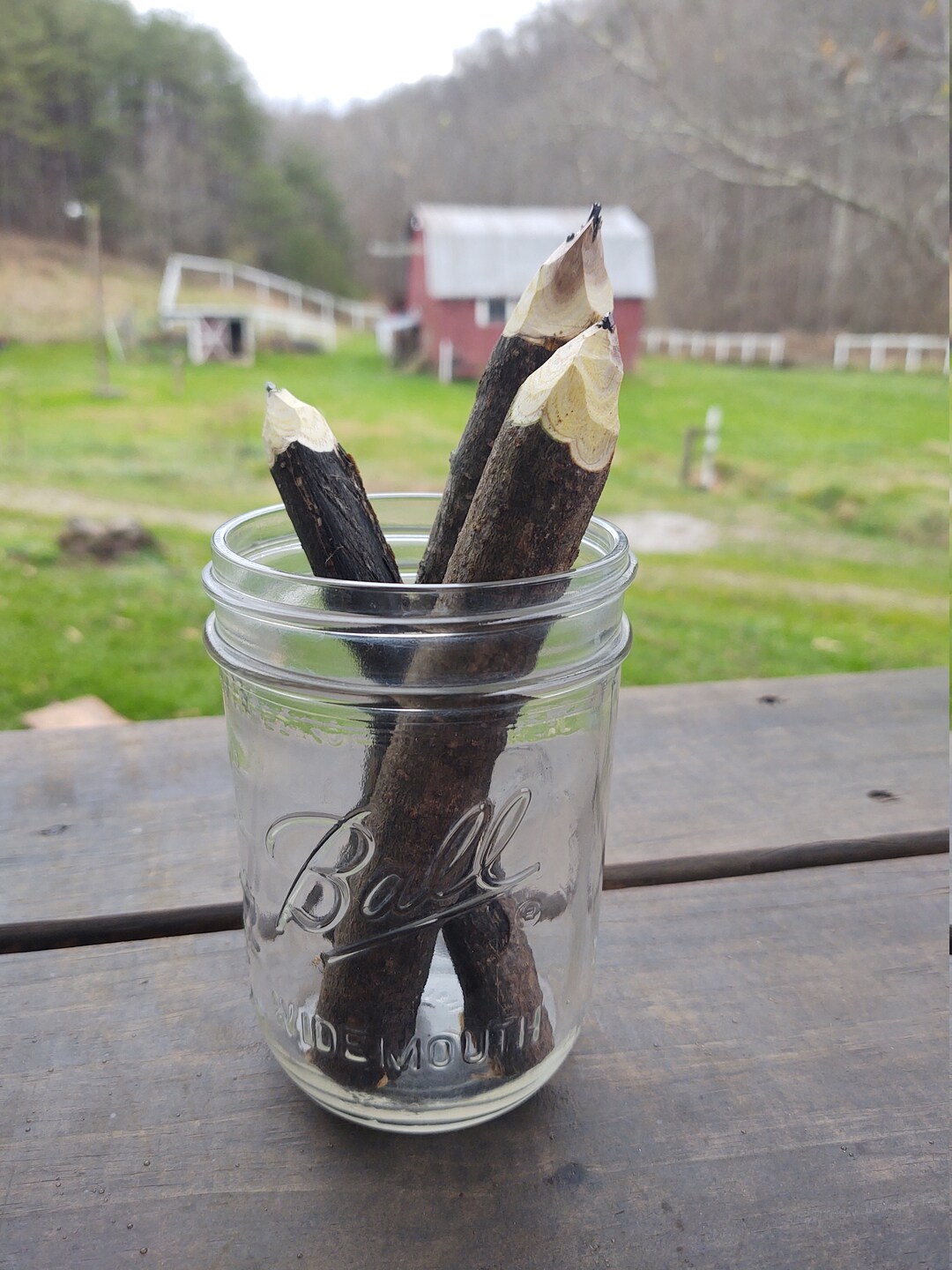 Rustic Pencil, Twig Pencil, Wood Pencil (5) - Etsy