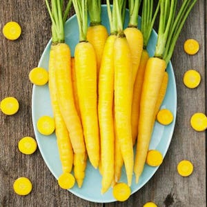 Yellowstone Carrot Seed 25 Seeds - Etsy