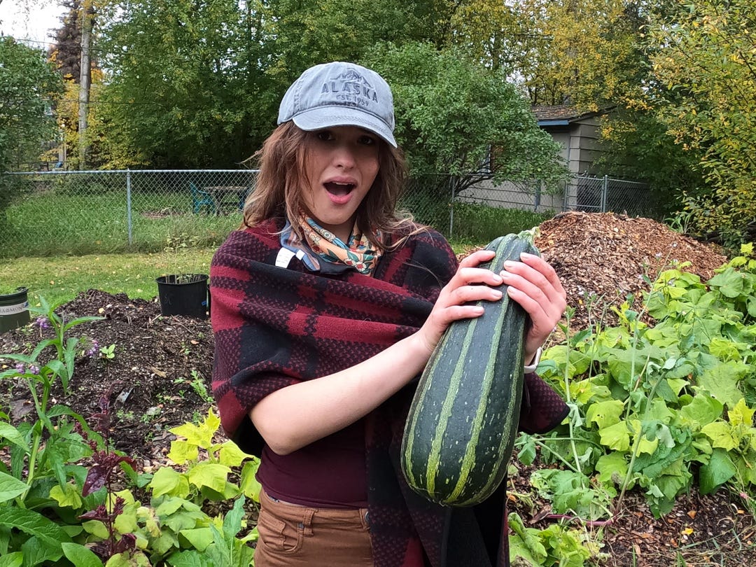 Costata Romanesca Squash 10 Seeds - Etsy