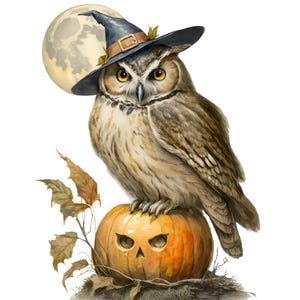 Owl Clipart Halloween Clipart Watercolor Clipart Bird Clipart Autumn ...