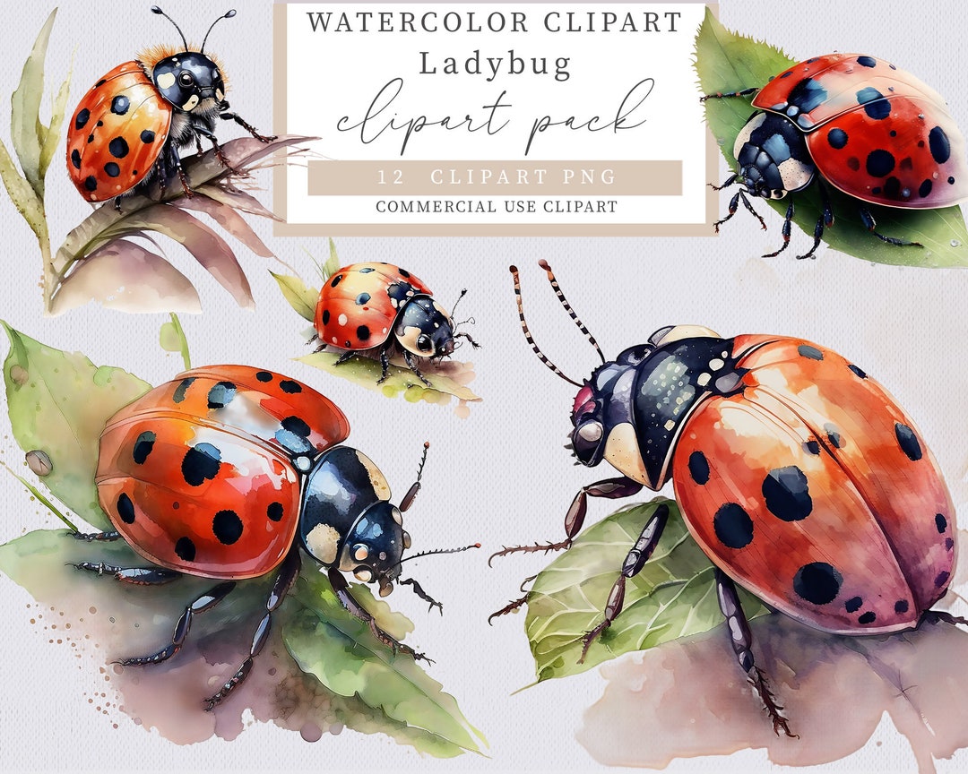 Ladybug Clipart, Watercolor Ladybug Clipart, Ladybug Png, Bug Clipart ...