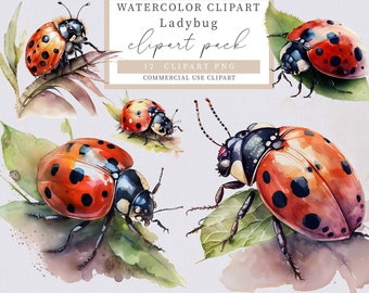 Cute Ladybug PNG Bundle Digital Crafts Designs Transparent - Etsy
